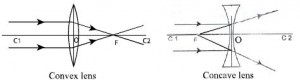 Explain Principal Focus - QS Study