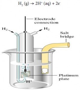 Electro-chemical Cell Notation - QS Study