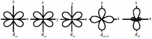 Explain Shape of D-Orbitals - QS Study