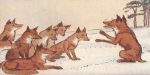 Moral Story: A Fox without Tail - QS Study