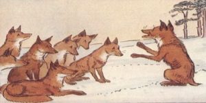 Moral Story: A Fox without Tail - QS Study