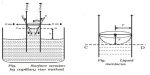Measurement of Surface Tension in Capillary Rise Method - QS Study