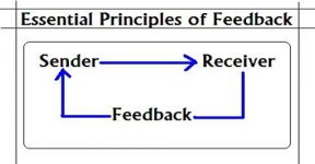 Principles of Feedback - QS Study