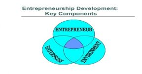 Process of Entrepreneurship Development - QS Study