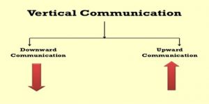 Types of Vertical Communication - QS Study