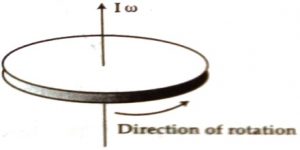 Vector form of Angular Momentum - QS Study