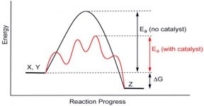 Effect of Catalyst on Equilibrium - QS Study