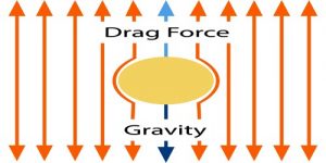 Stokes Law - QS Study