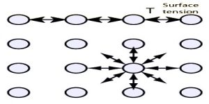 Surface Tension - QS Study