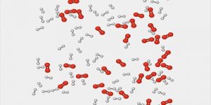 Hydrogen-Oxygen Chain Reaction - QS Study