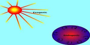 Endogenic Processes - QS Study
