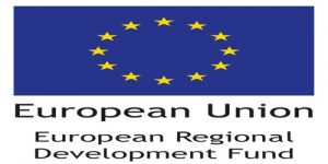 Organizational Structure of European Union (EU) - QS Study