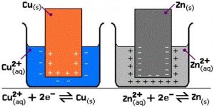 Half-Cells - QS Study