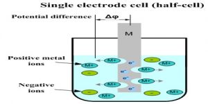 Single Electrode Potential: Standard Hydrogen Electrode - QS Study