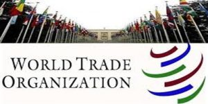Functions of World Trade Organization (WTO) - QS Study