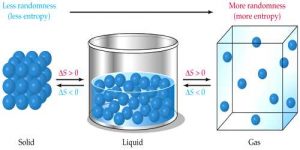 Significance of Entropy - QS Study