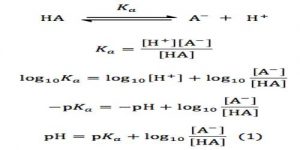 Henderson-Hasselbalch Equation - QS Study