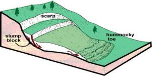 Mass Movement - QS Study