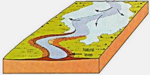 Natural Levees: Depositional Landforms - QS Study