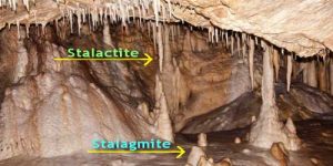 Stalactites and Stalagmites: Depositional Landforms - QS Study