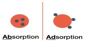 Gibbs' Adsorption Equation - QS Study