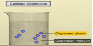 Disperse Phase and Dispersion Medium - QS Study