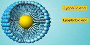 Lyophobic and Lyophilic Sols - QS Study