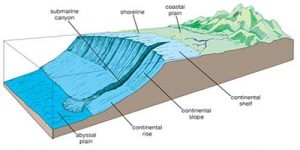 Minor Relief Features of Ocean Water - QS Study