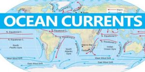 Ocean Currents - QS Study