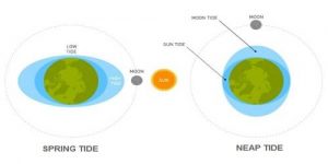Types of Tides based on the Sun, Moon, and the Earth Positions - QS Study