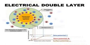 Electrical Double Layer - QS Study