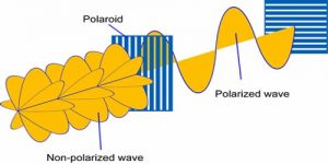Polarization of Light - QS Study