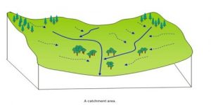 Catchment Area - QS Study