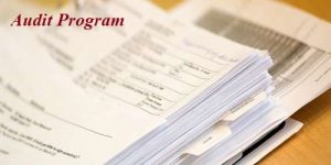 Audit Program - QS Study