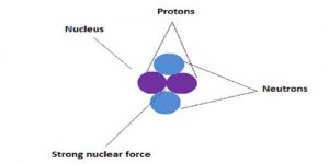 Strong Nuclear Force - QS Study