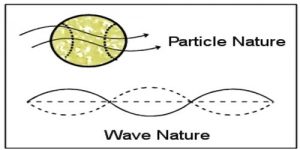 de Broglie's Matter Waves - QS Study