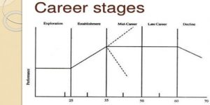 Different Traditional Career Stage - QS Study