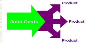 Joint Product and Joint Cost - QS Study