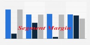 Segment Margin - QS Study