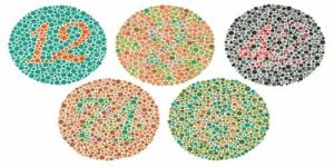Color Blindness - QS Study