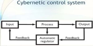 Cybernetic Control System - QS Study