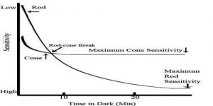Dark Adaptation - QS Study