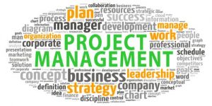 Forces that Influence Project Management - QS Study