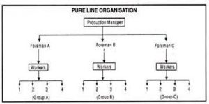 Pure Organizational System of Project Organization - QS Study