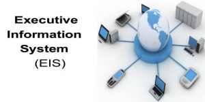 How Executive Support System helps making better decision? - QS Study
