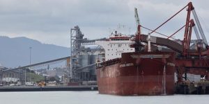 Port Risk Policy - QS Study