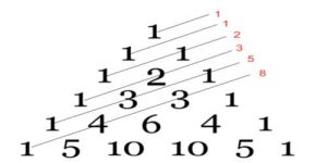 Fibonacci Sequence - QS Study